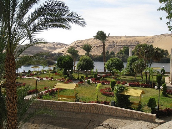Tour to The Botanic Gardens and Botanical Museum | Luxor and Aswan Travel