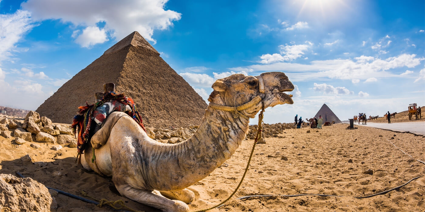 Full day tour to Cairo from Aswan by flight | Luxor and Aswan Travel
