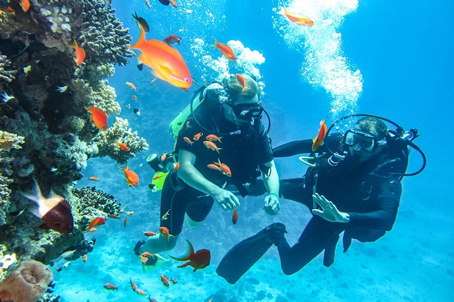 Scuba diving Sharm El Sheikh | Luxor and Aswan Travel